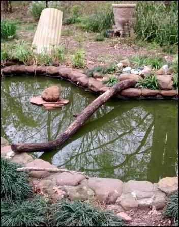 Building a Backyard Habitat: Coexist with the Critters - Homestead.org