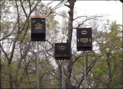 Going Bats! The Benefits of Bat Houses on Your Homestead
