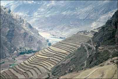 The Humble Spud: From Inca to Ireland to Idaho - The History of Potatoes