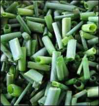 Chive Talkin': Facts About Chives - Homestead.org