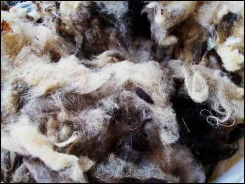 Getting Started Spinning Wool: Spinning Wool for Beginners