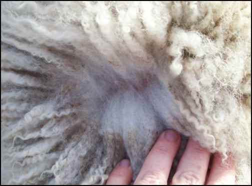 Getting Started Spinning Wool: Spinning Wool for Beginners