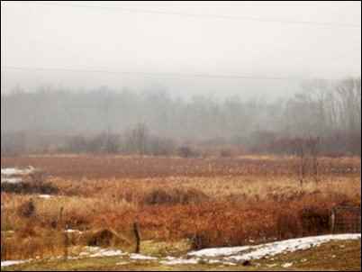 Homesteading in the Backwoods - Homestead.org