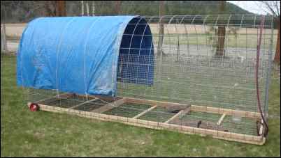 Cage-Free Rabbits: Fertilizer in Motion - Homestead.org