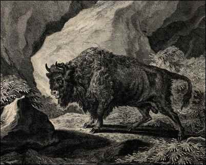 A Brief History of Milk - Homestead.org Homesteading