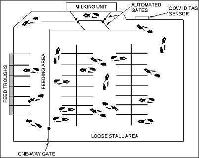 A Brief History of Milk - Homestead.org Homesteading