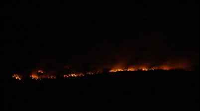 The Day the Fires Came Through - Homestead.org